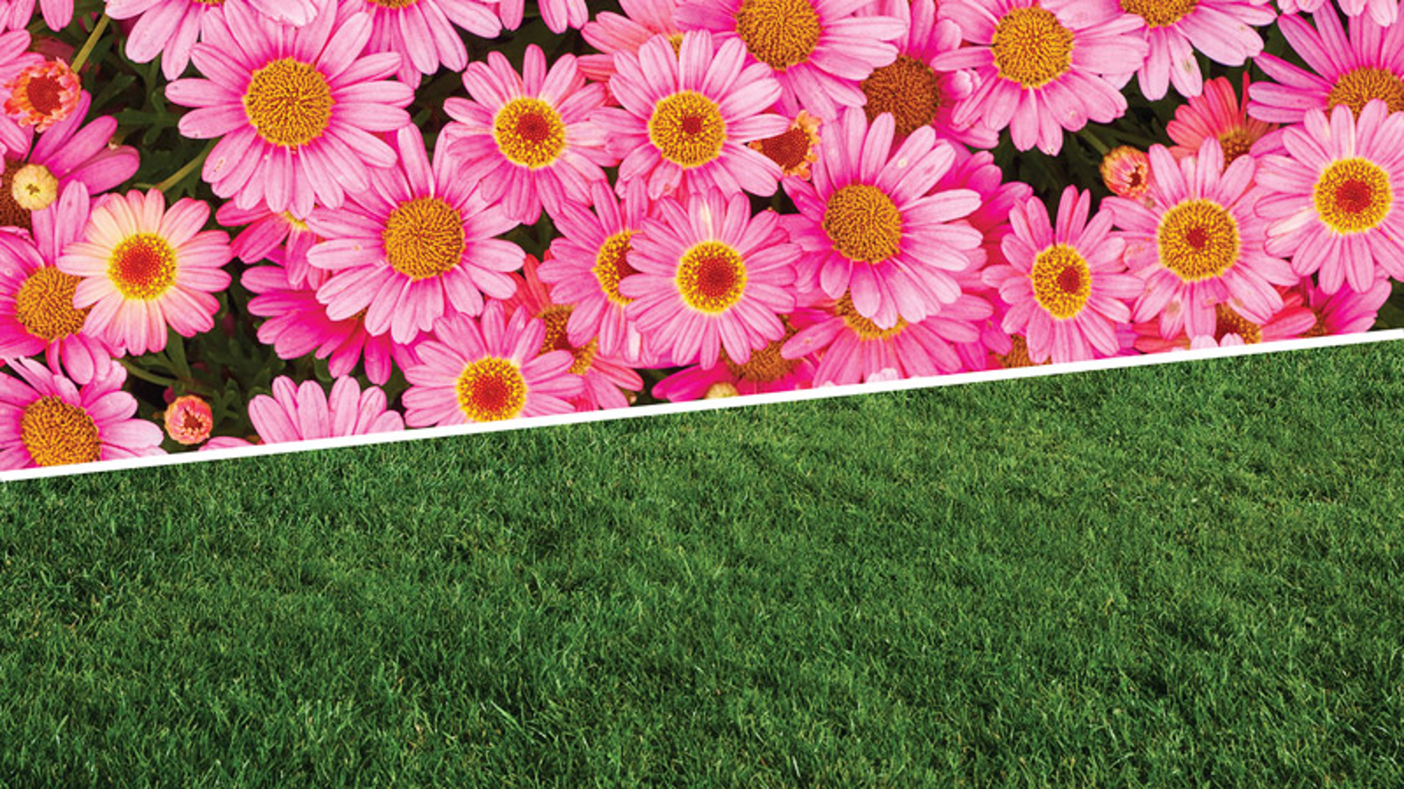 New Homes for Sale Montgomery, TX at Two Step Farm